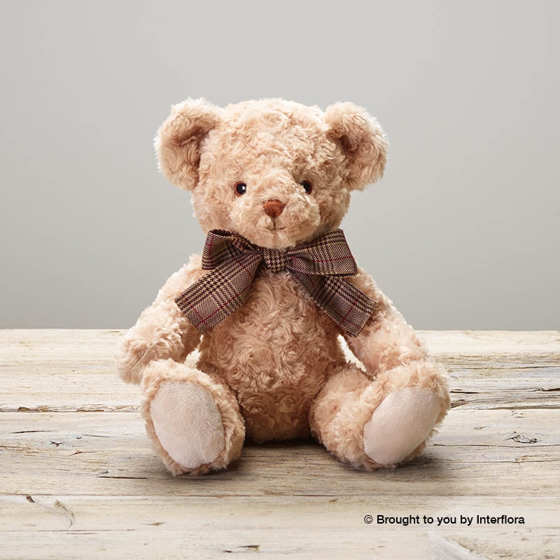 Teddy bear to buy online store